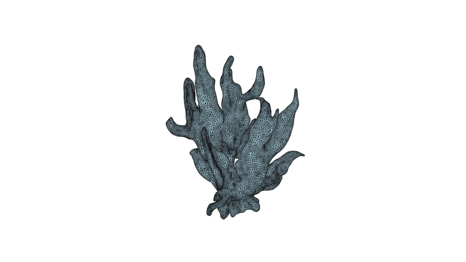 Coral Reef Flower 3D Model - TurboSquid 2221425