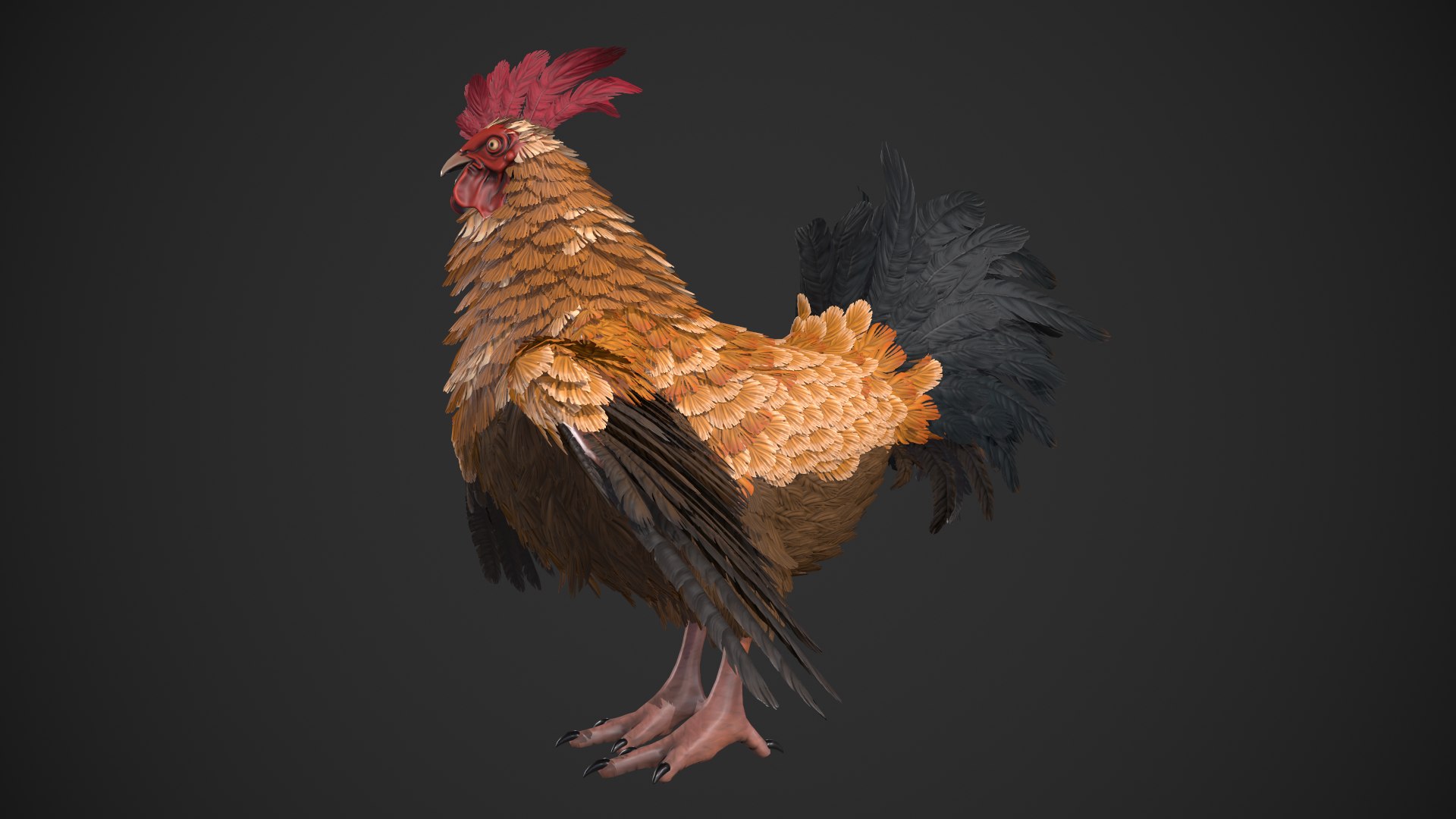 3D Chicken Rooster - TurboSquid 1981907