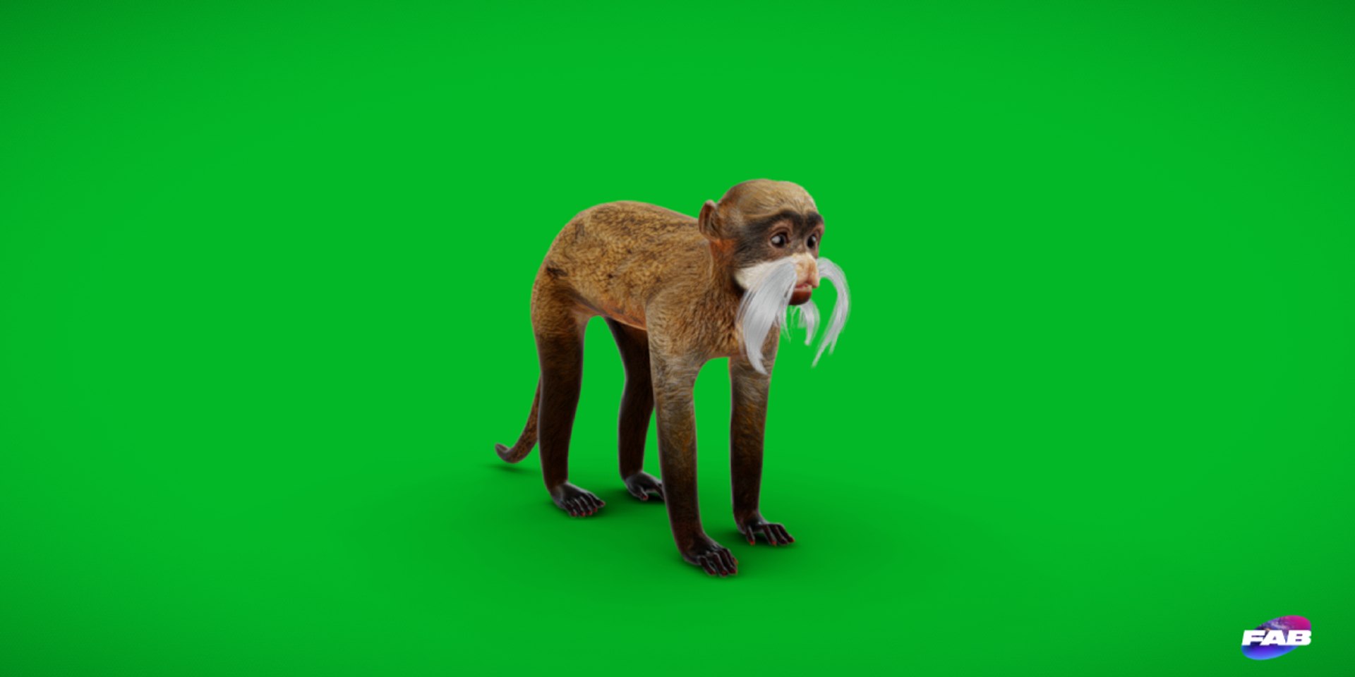 3D Emperor Tamarin Monkey Model - TurboSquid 2379555