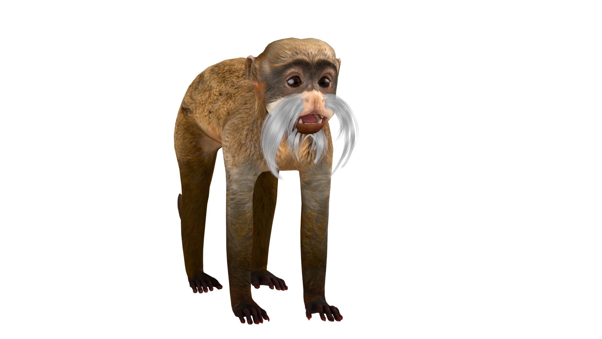 3D Emperor Tamarin Monkey Model - TurboSquid 2379555