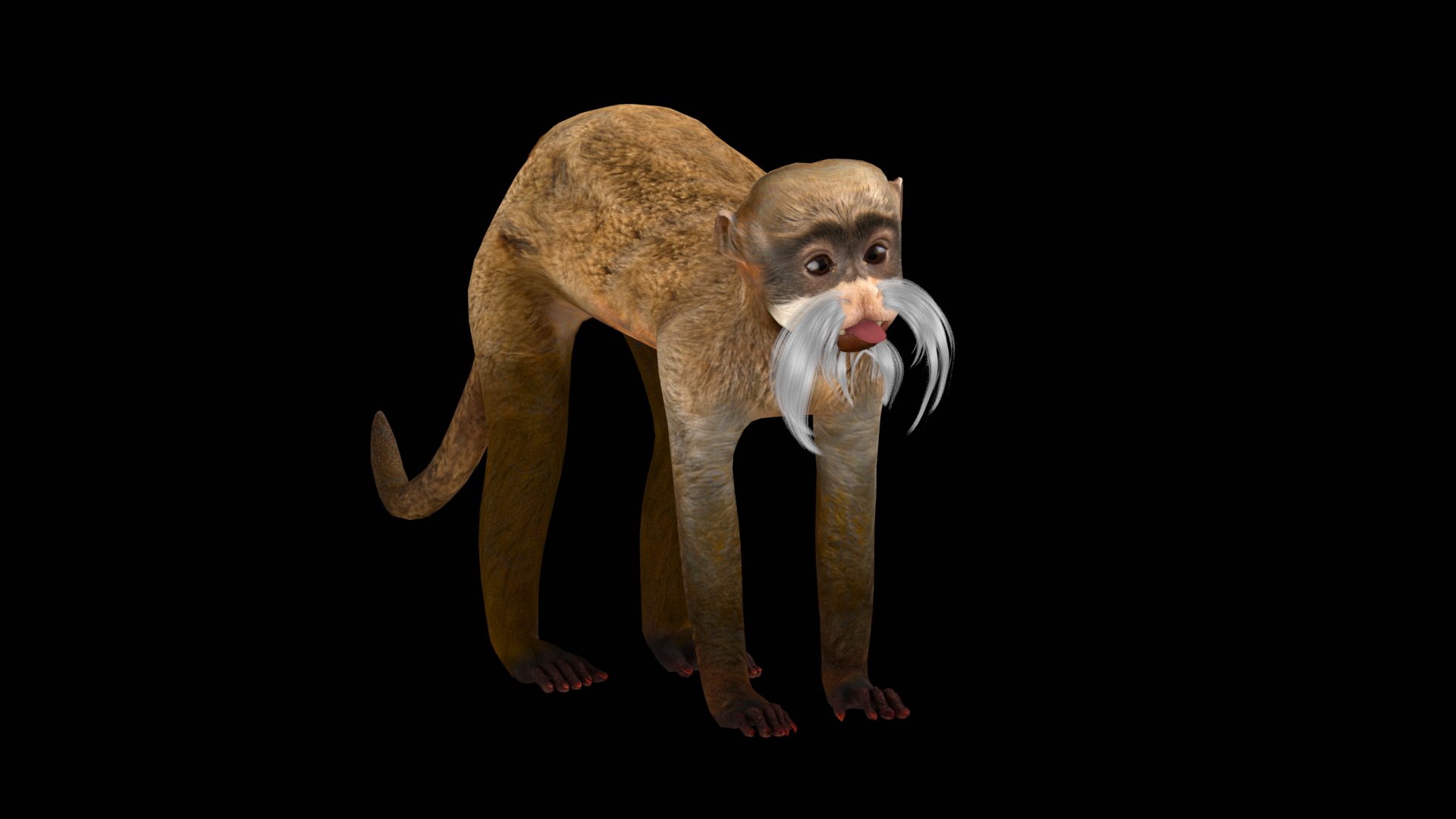 3D Emperor Tamarin Monkey Model - TurboSquid 2379555