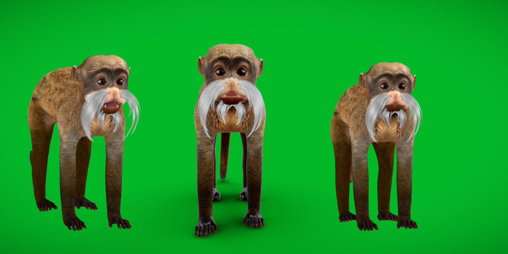 3D Emperor Tamarin Monkey Model - TurboSquid 2379555