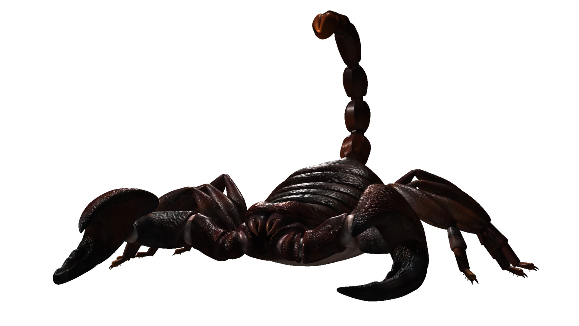3d Rigged Scorpion