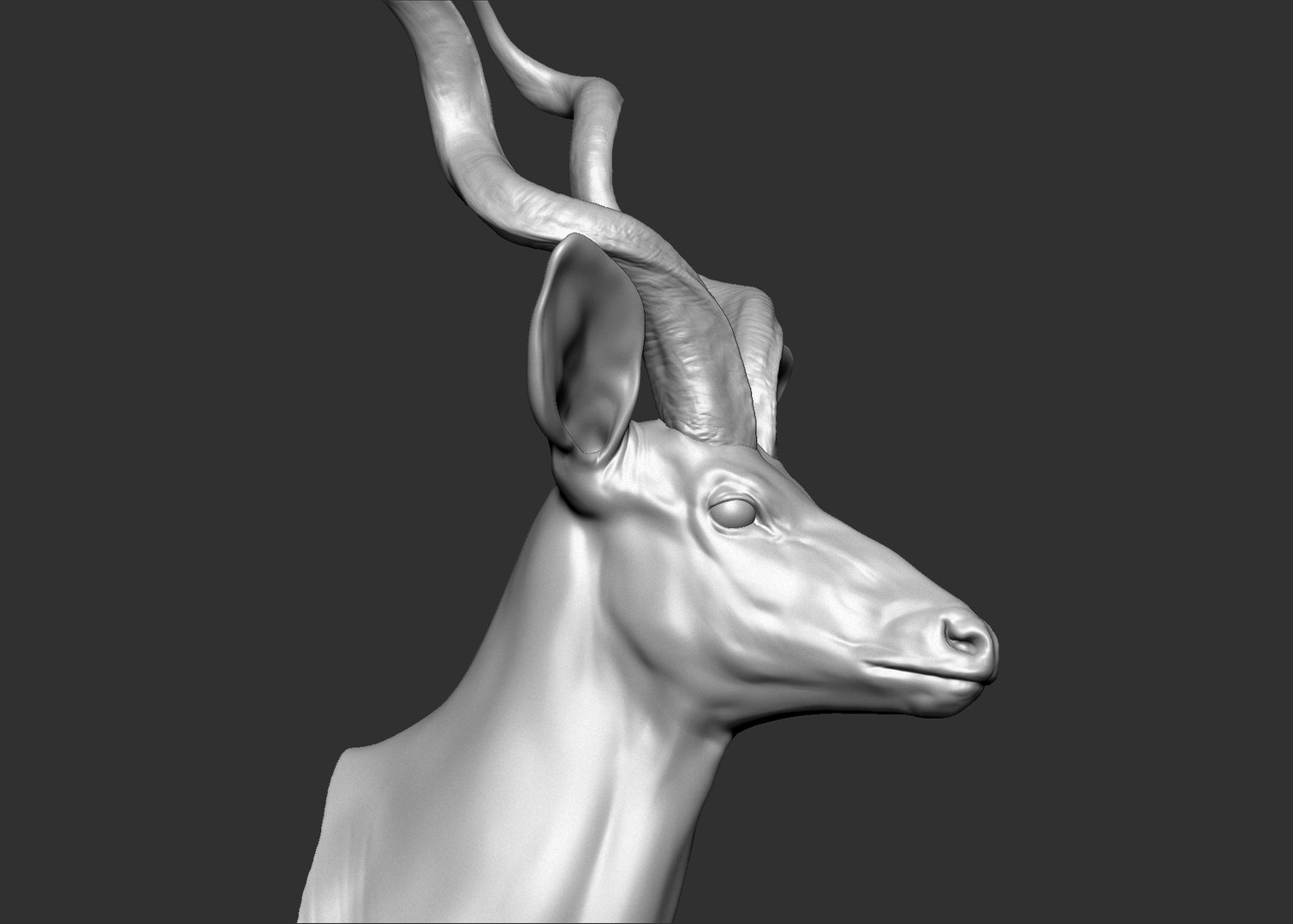 3D Greater Kudu Head Sculpture Model - TurboSquid 1426063