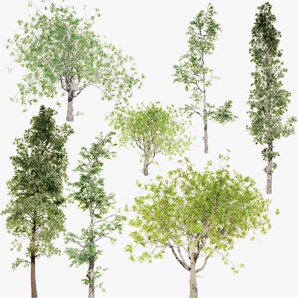 Lightwave tree pack animation 3D - TurboSquid 1272389
