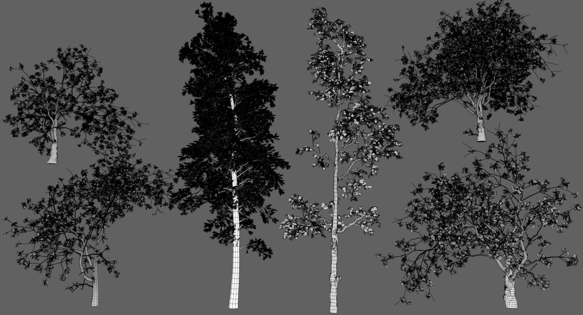 Lightwave Tree Pack Animation 3D - TurboSquid 1272389