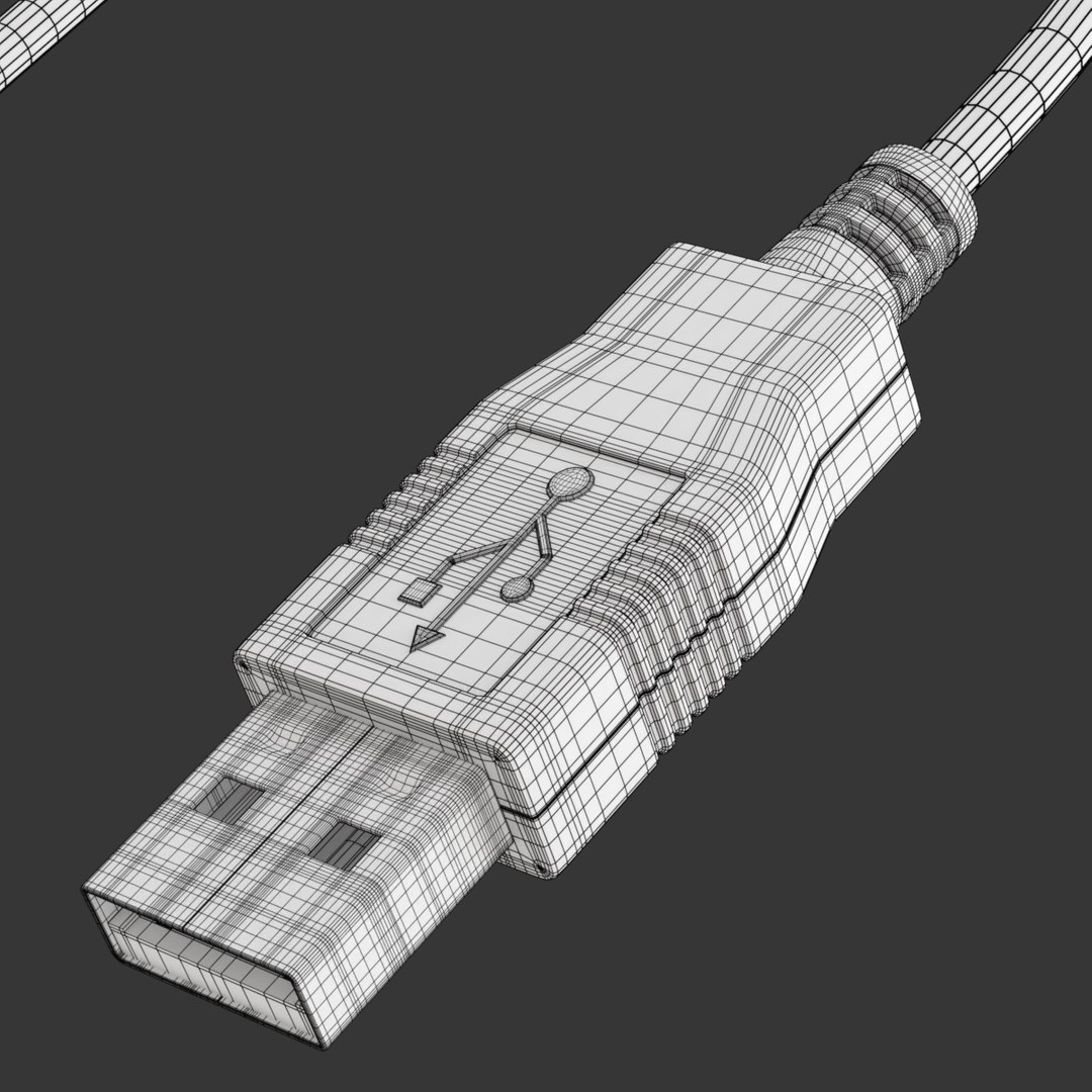 3D Plug Usb Type Model - TurboSquid 1315220