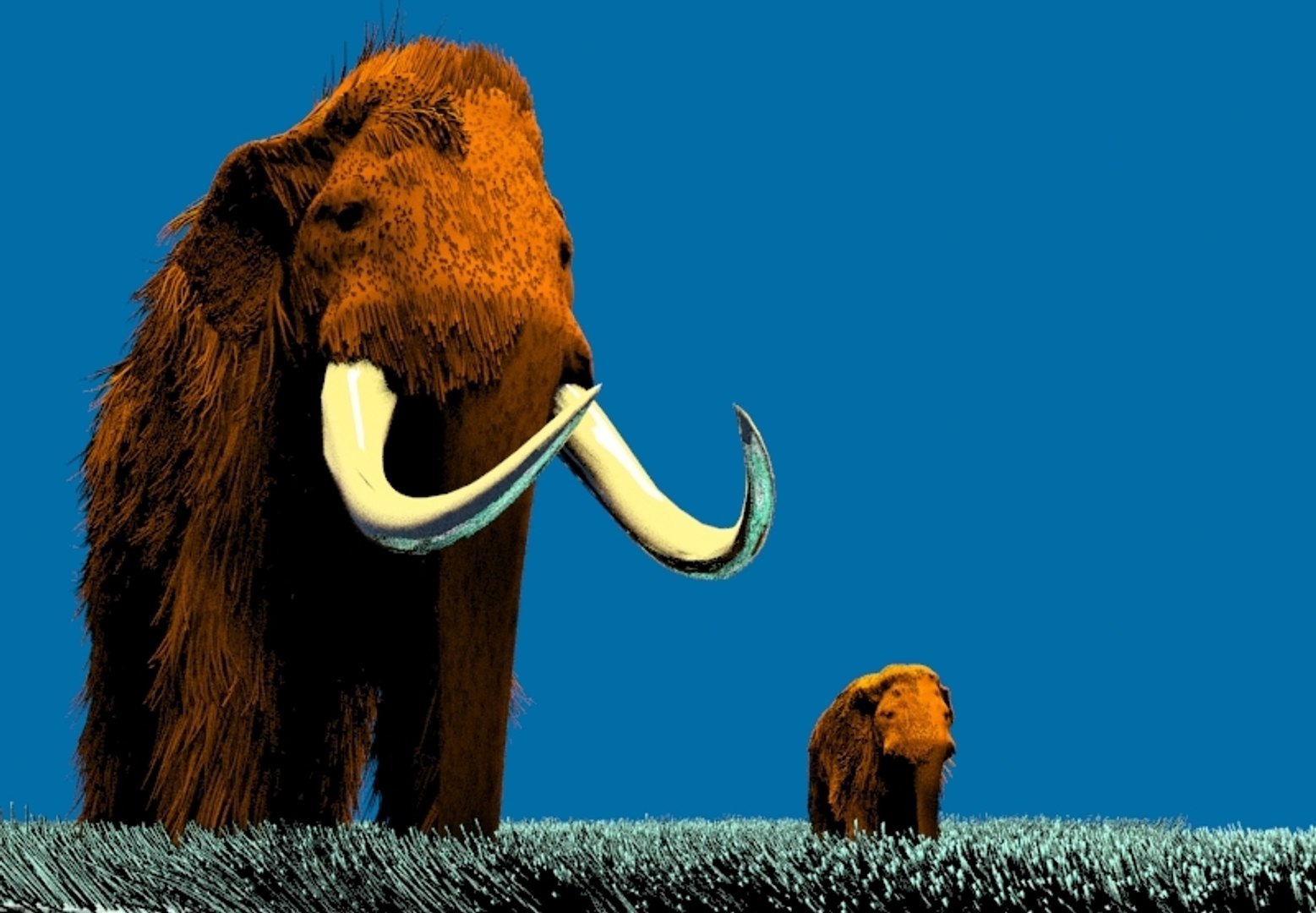 3d model baby woolly mammoth