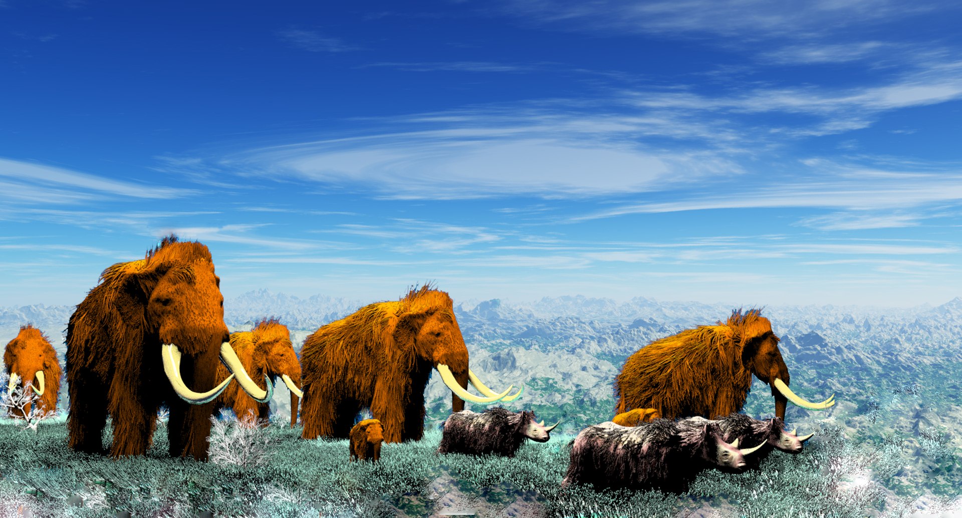 3d model baby woolly mammoth
