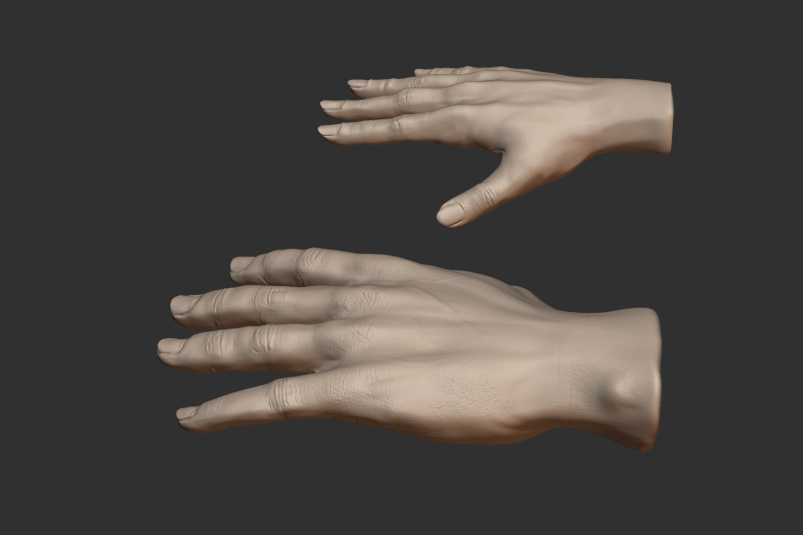 Male female hands 3D model - TurboSquid 1289588