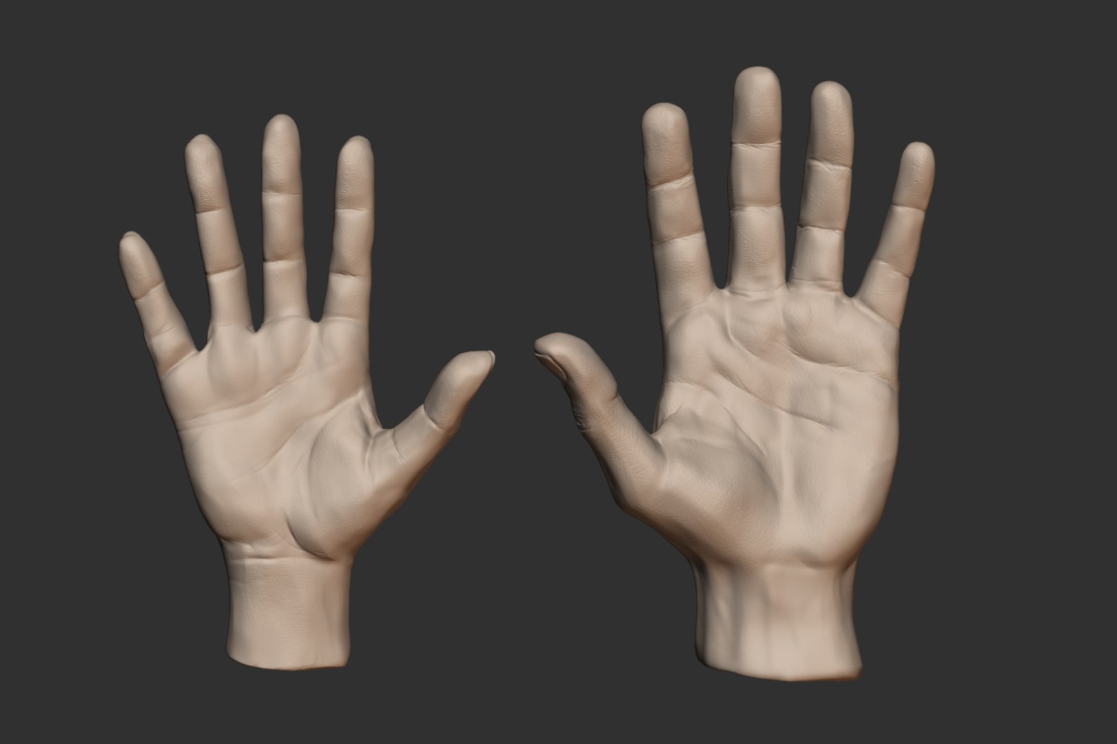 Male female hands 3D model - TurboSquid 1289588