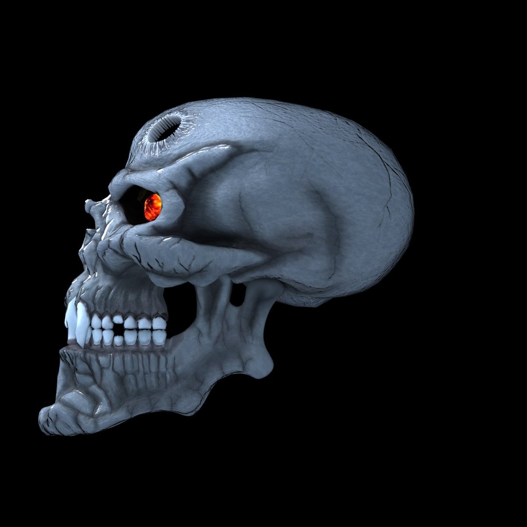 3d Fbx Skull
