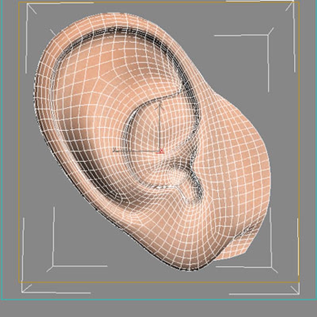 Ear Realistic Max