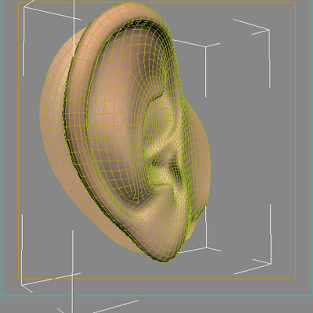 Ear Realistic Max