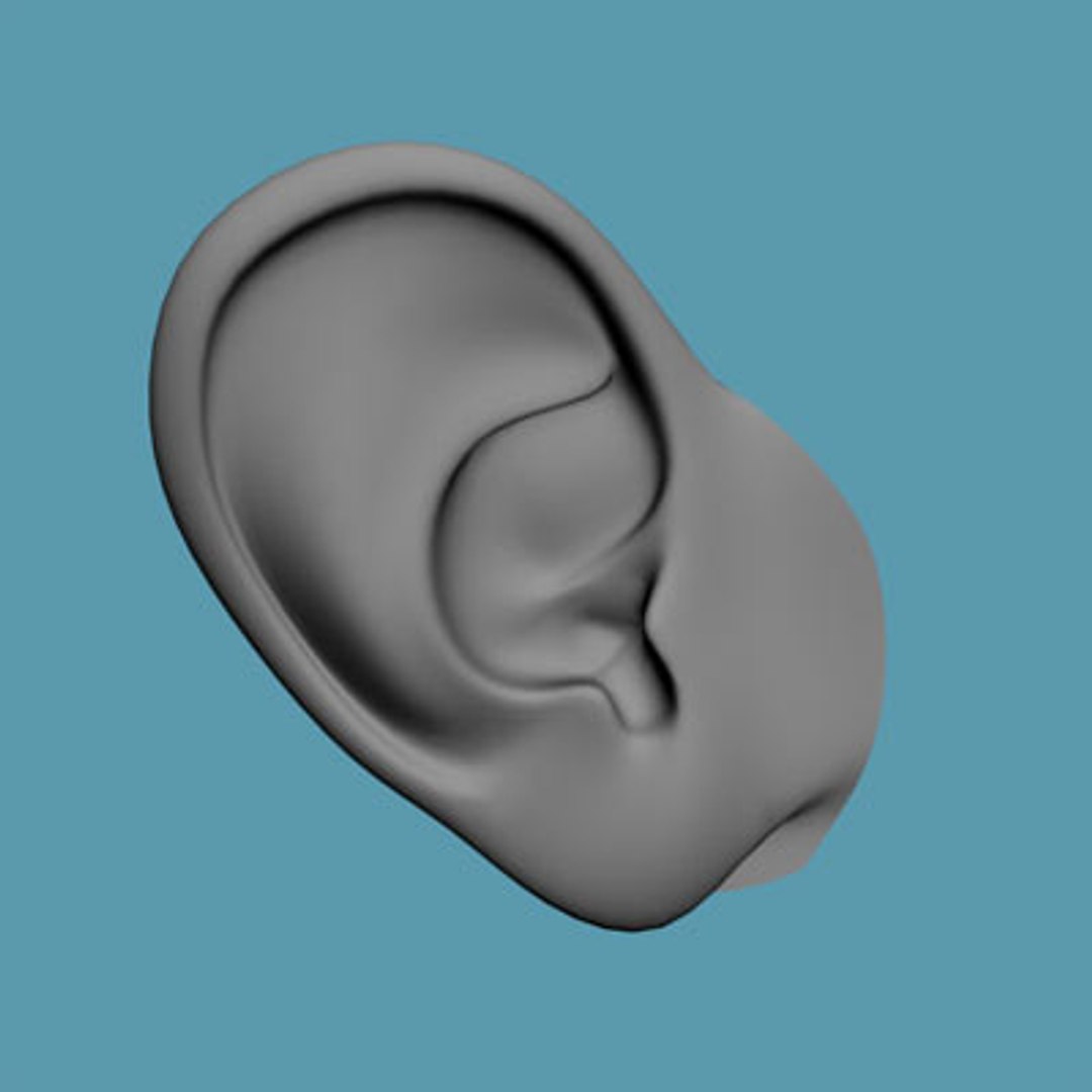 Ear Realistic Max