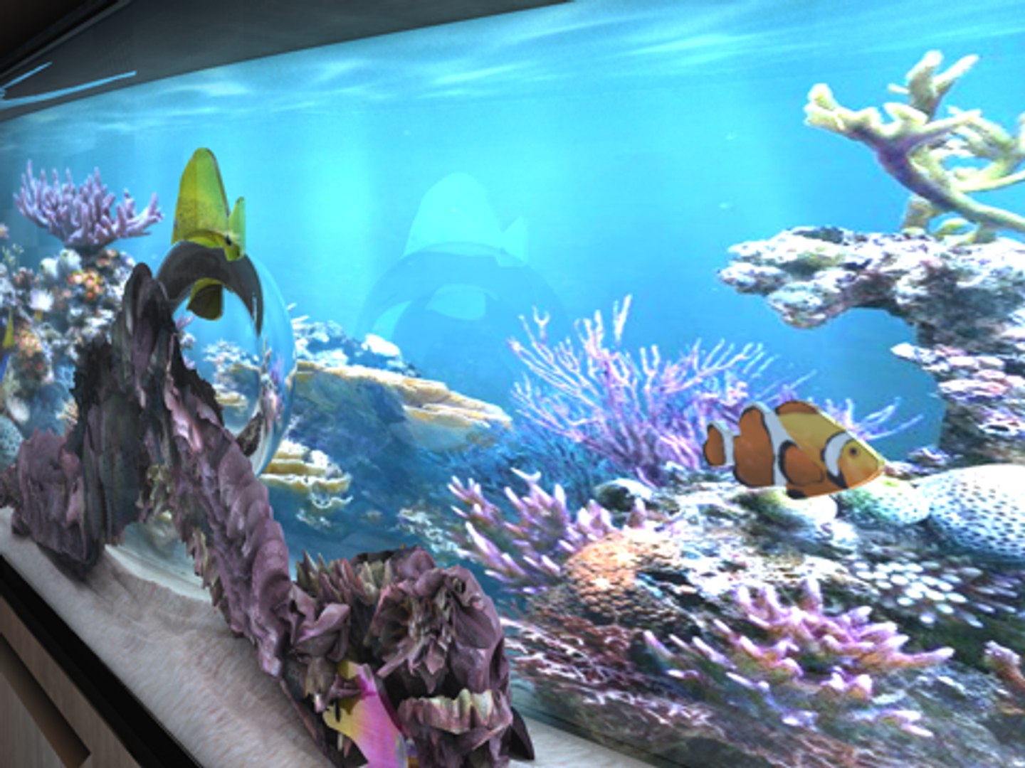 Salt Water Fish Tank 3d 3ds