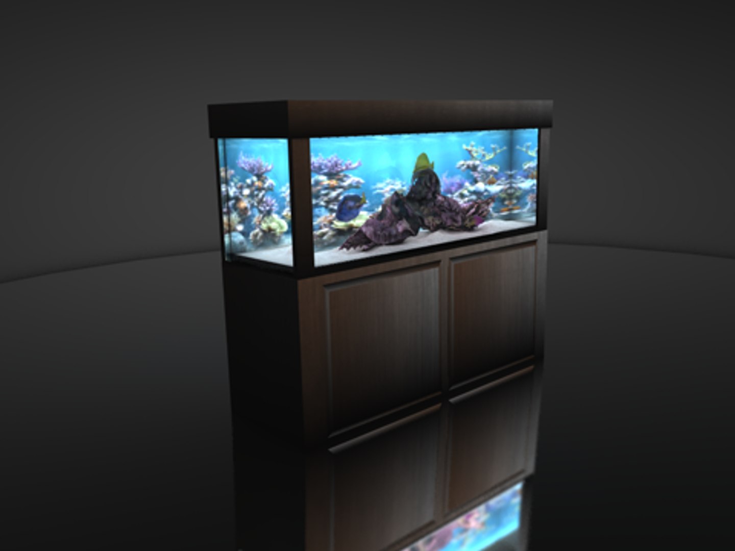 Salt Water Fish Tank 3d 3ds