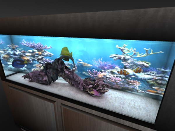 salt water fish tank 3d 3ds