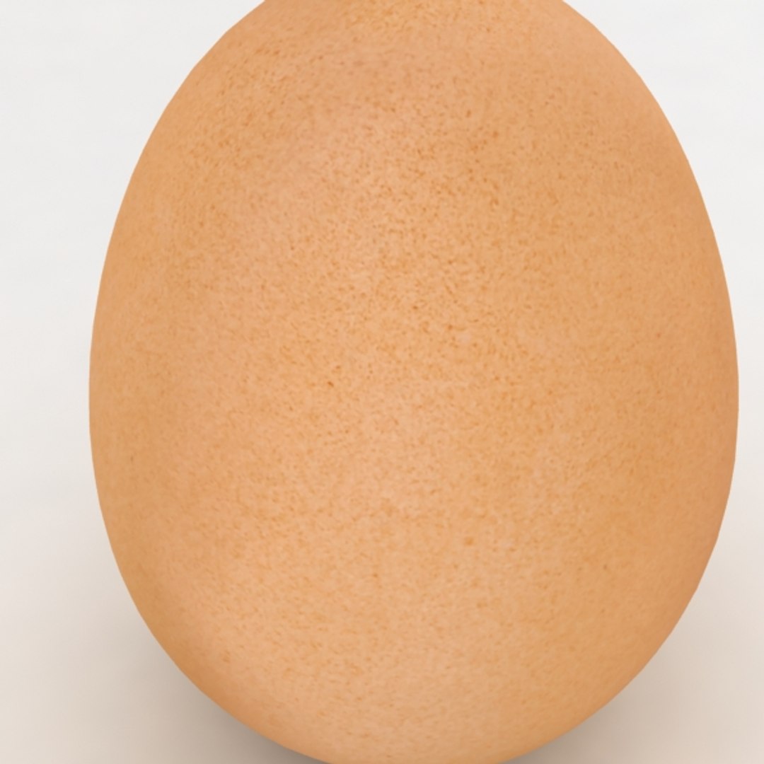Max Egg