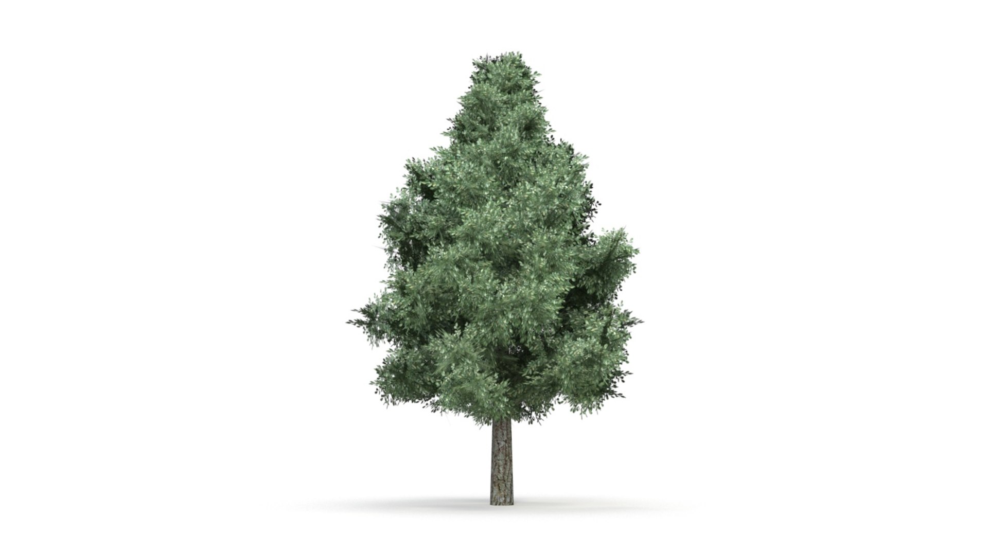 3D model tree green - TurboSquid 1219314
