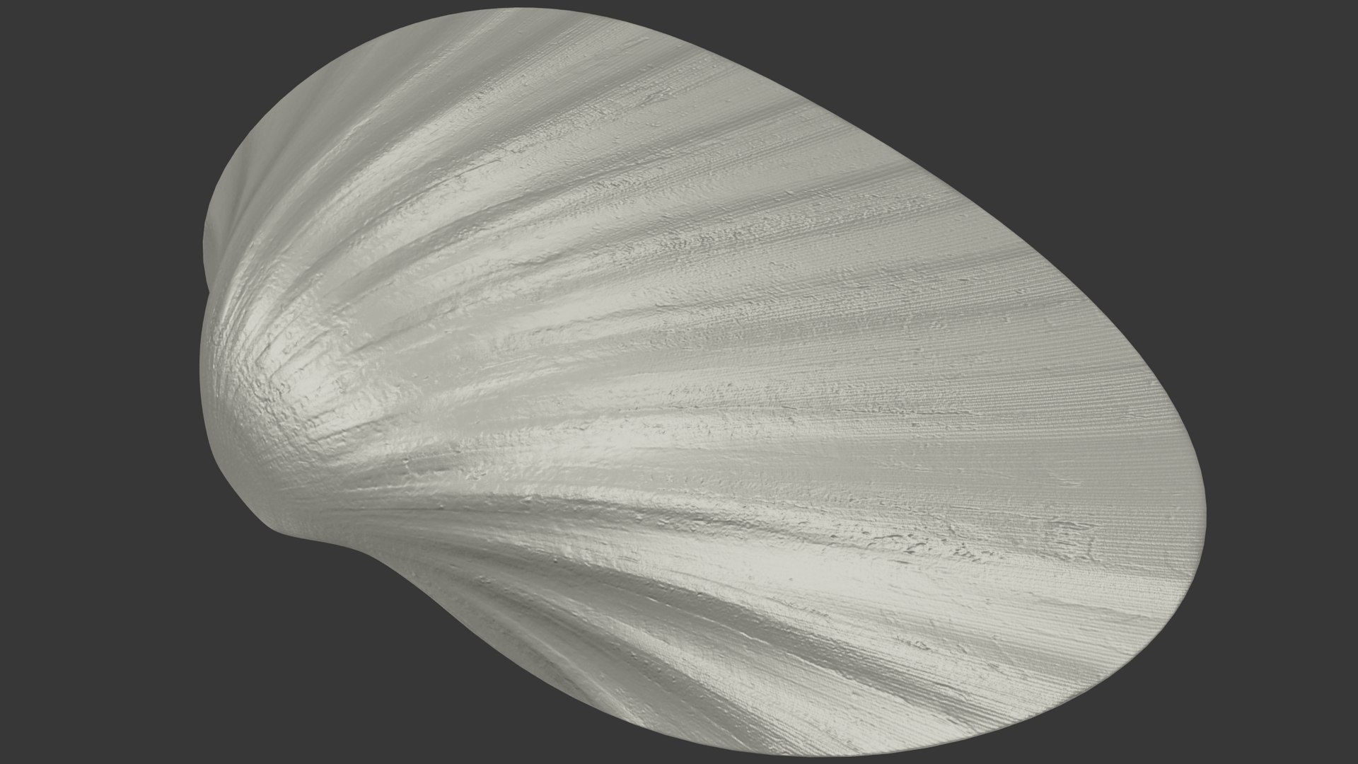 3D Seashell Sea Shell Model - TurboSquid 1624205