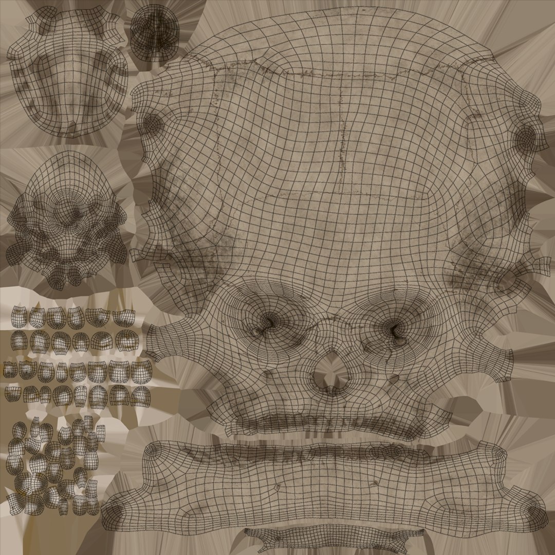 Realistic human skull 3D - TurboSquid 1254207