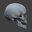 Realistic Human Skull 3D - TurboSquid 1254207
