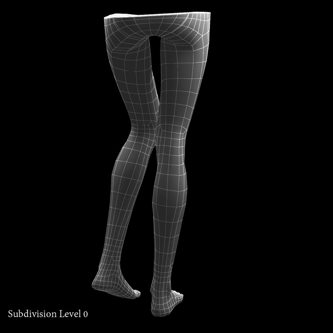 3d Model Female Legs