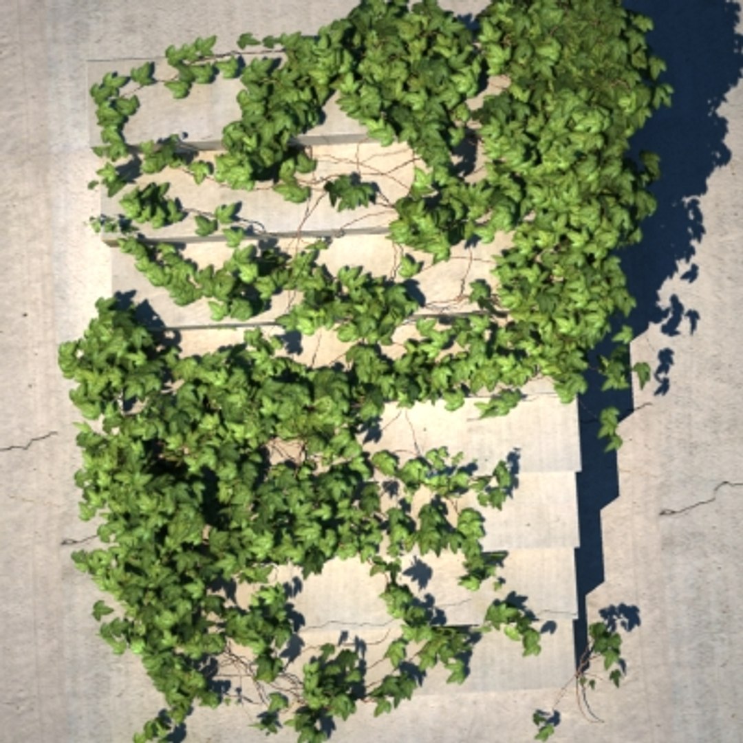 stairs ivy 3d max