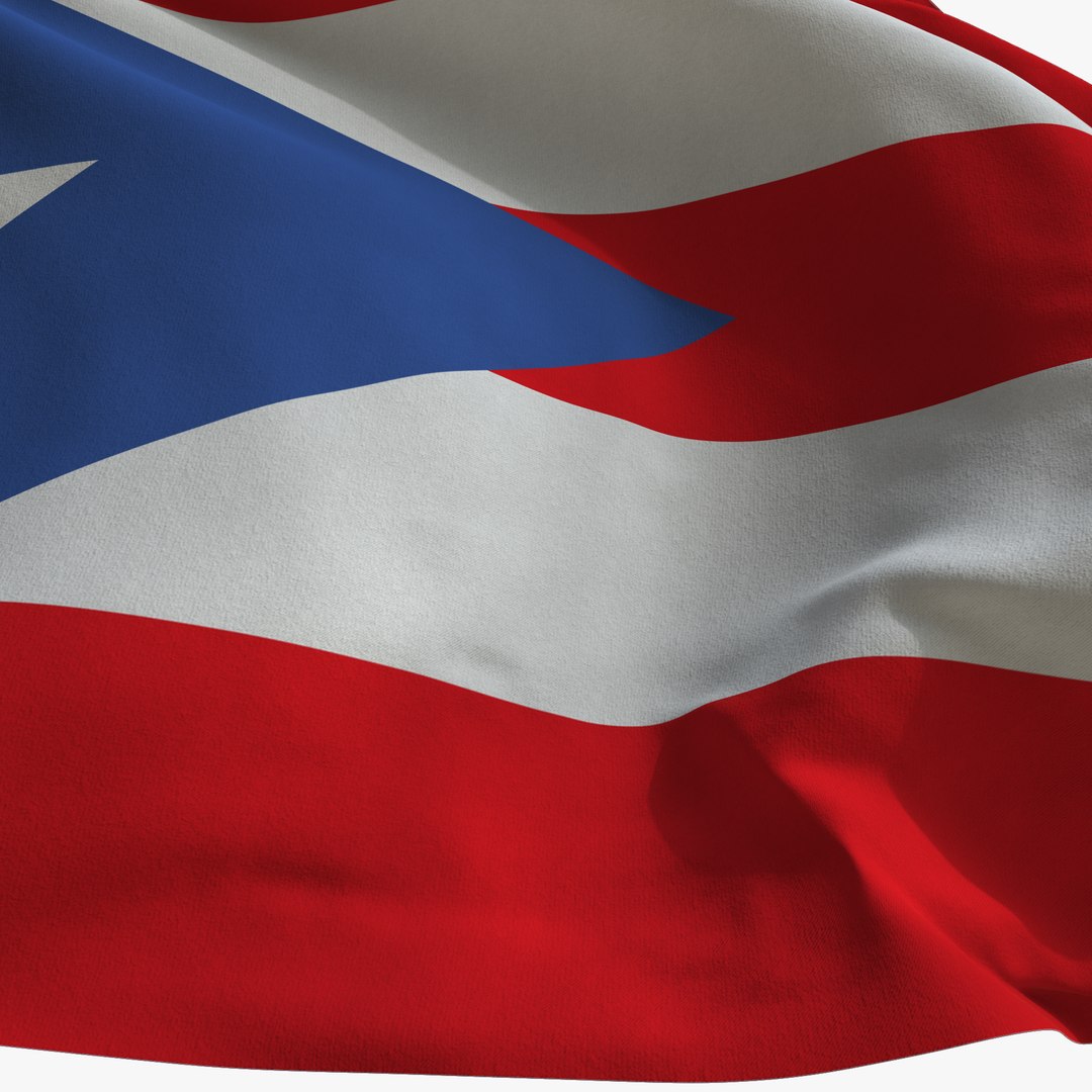 3D Realistic Animated Flag - Microtexture Rigged - Put Your Own Texture ...