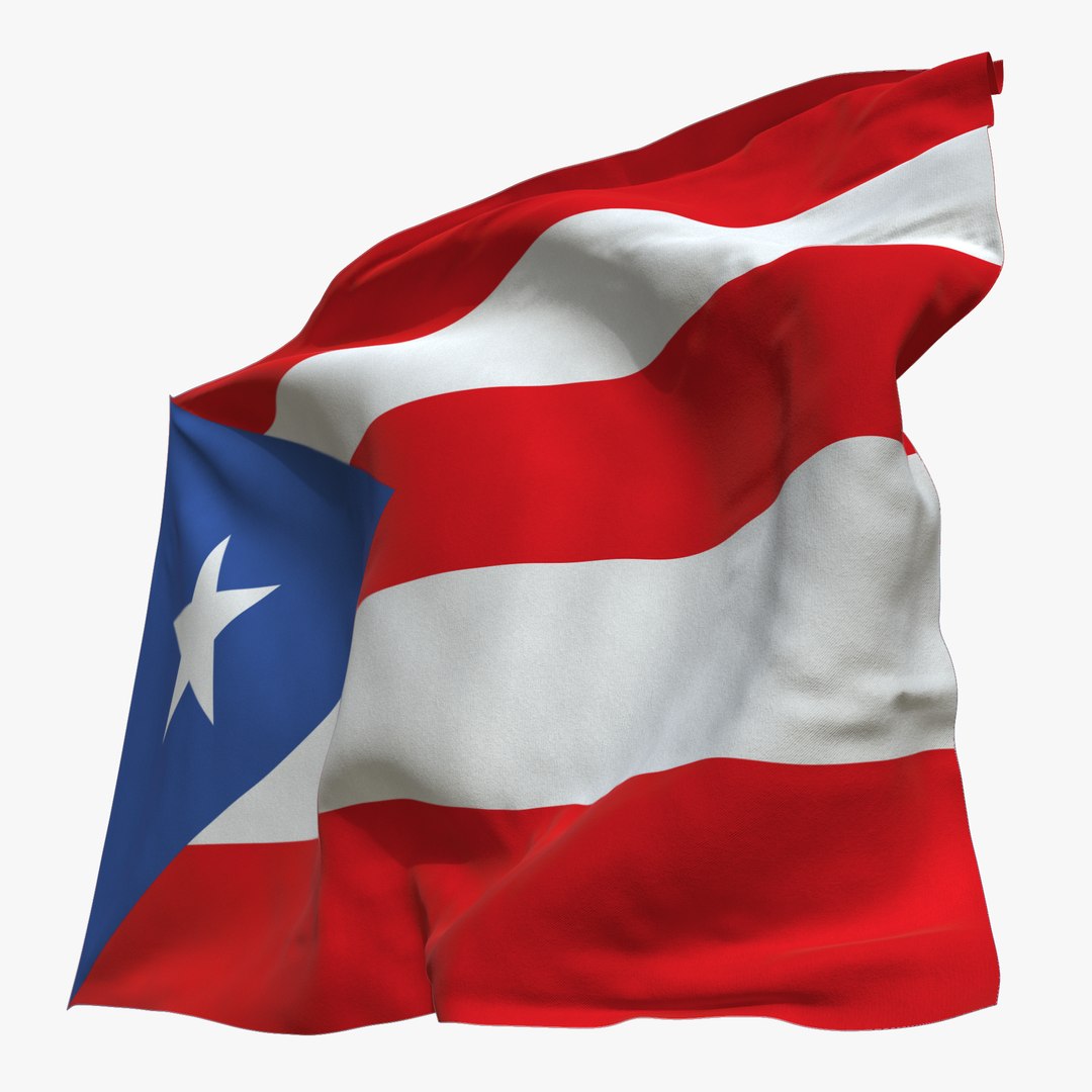 3D Realistic Animated Flag - Microtexture Rigged - Put Your Own Texture ...