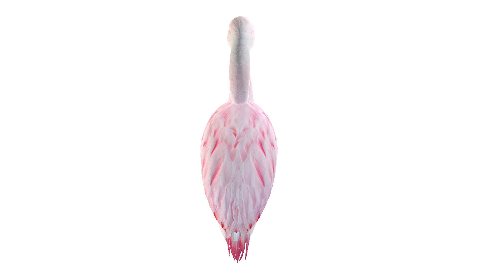 Flamingo Model - TurboSquid 1917074