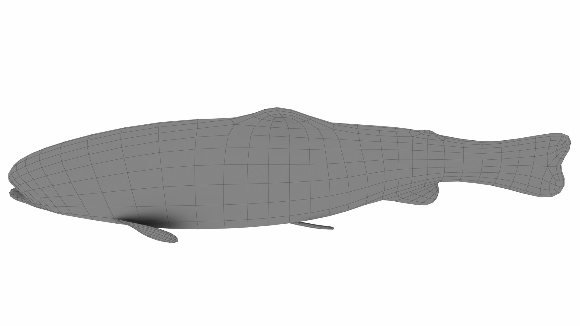 3D Model Trout Fish - TurboSquid 2379198