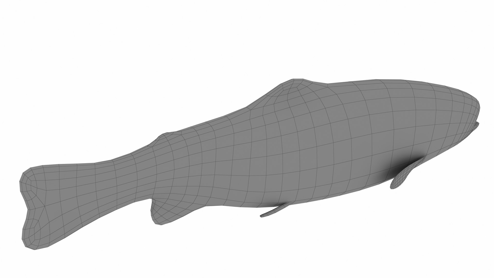 3D Model Trout Fish - TurboSquid 2379198