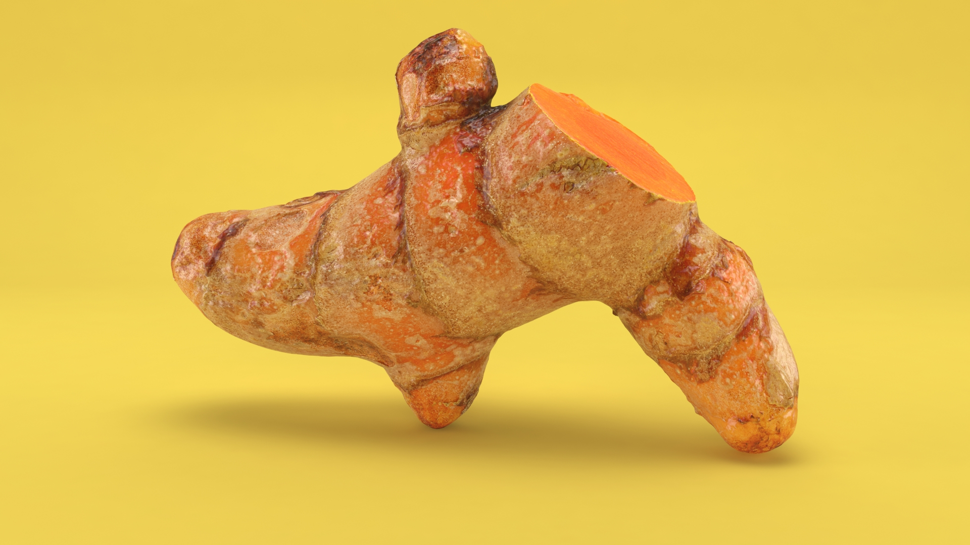 3D Turmeric V2 Set Model - TurboSquid 1866373