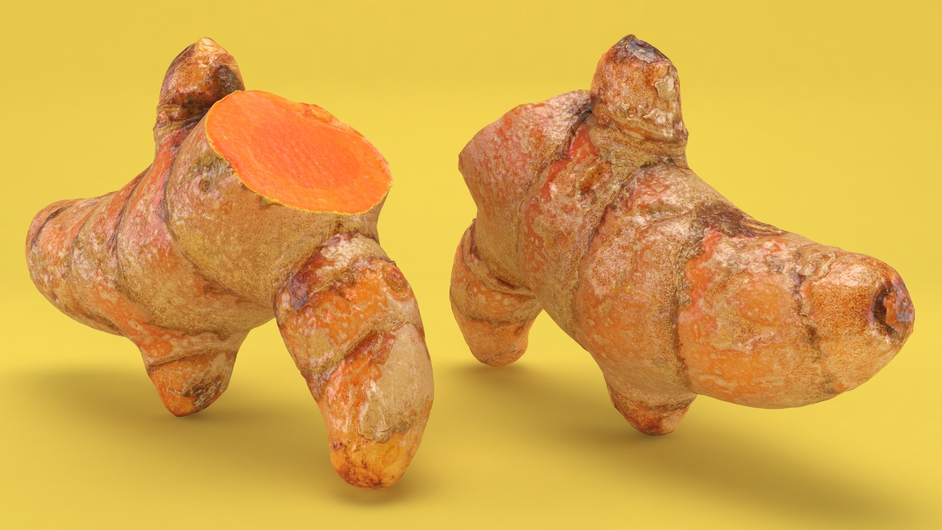 3D Turmeric V2 Set Model - TurboSquid 1866373