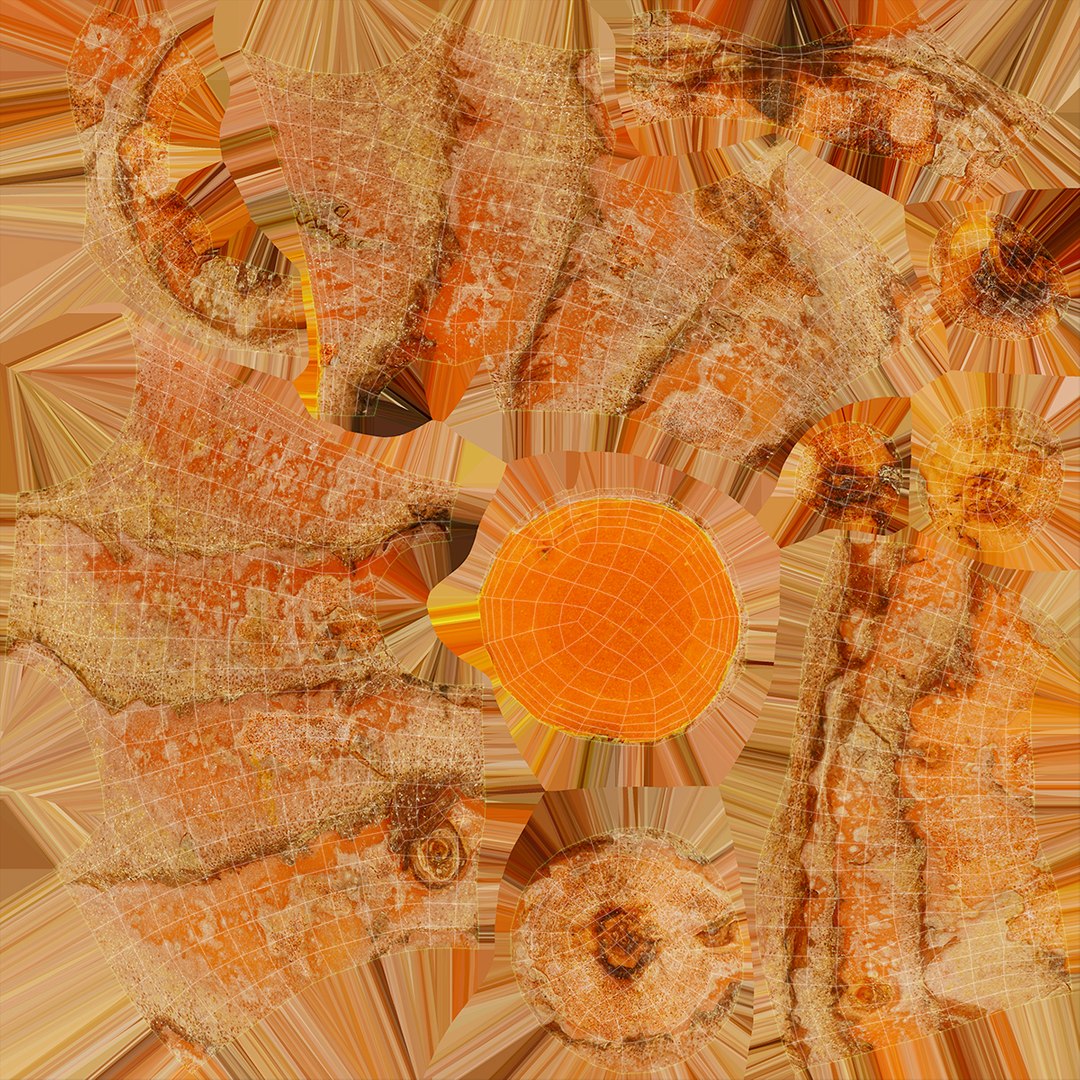 3D Turmeric V2 Set Model - TurboSquid 1866373