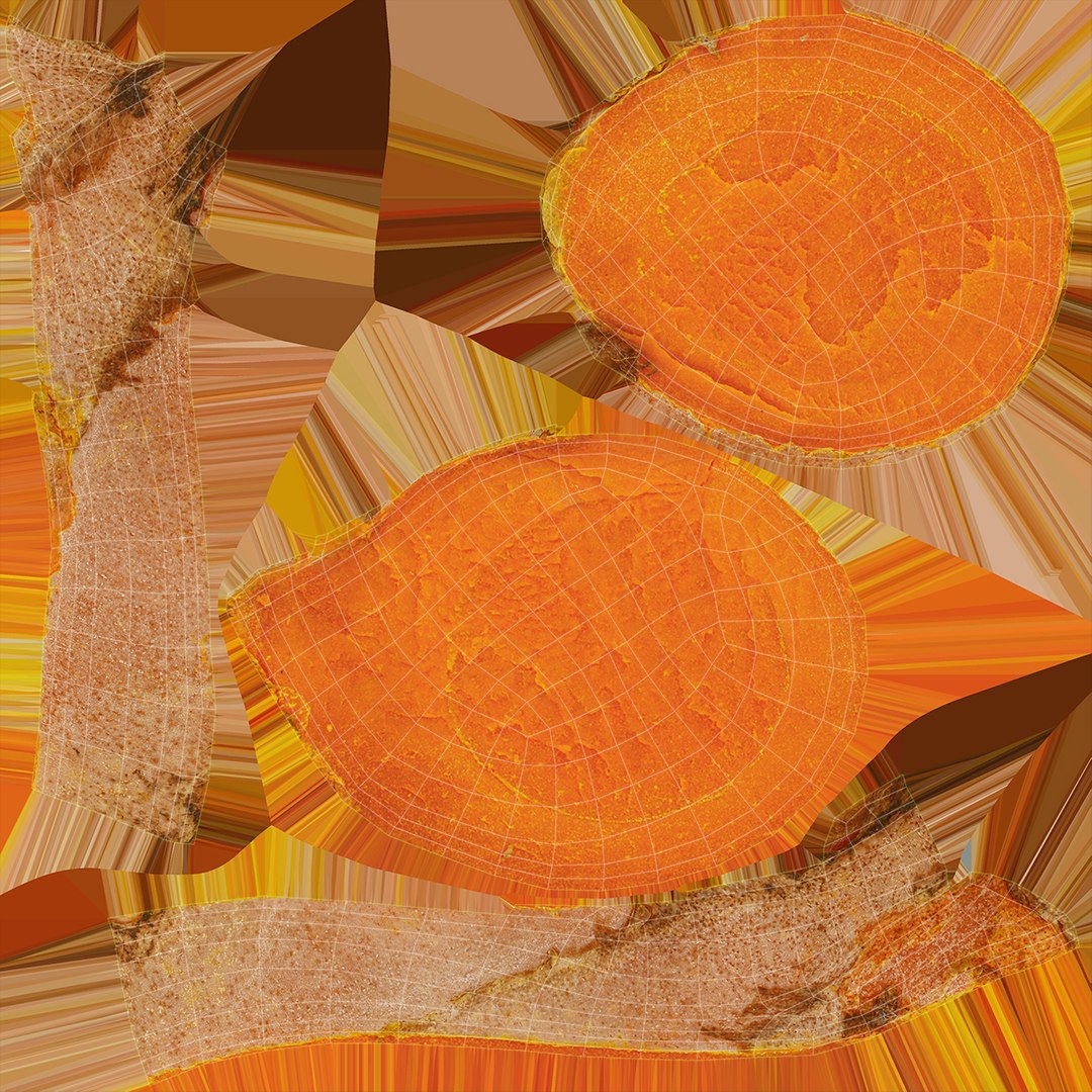 3D Turmeric V2 Set Model - TurboSquid 1866373