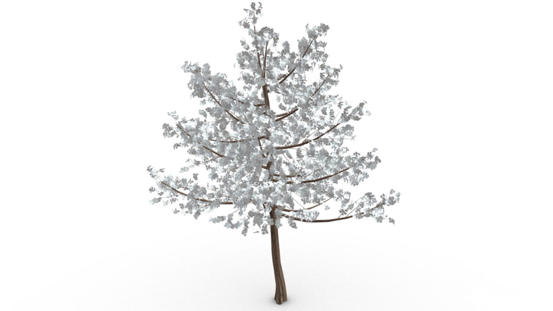 3D Flower Tree White Color - TurboSquid 2244637