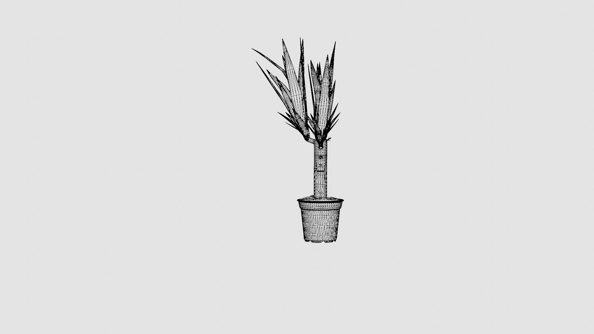Yucca Elephantipes Single Stem 3D Model - TurboSquid 2256206