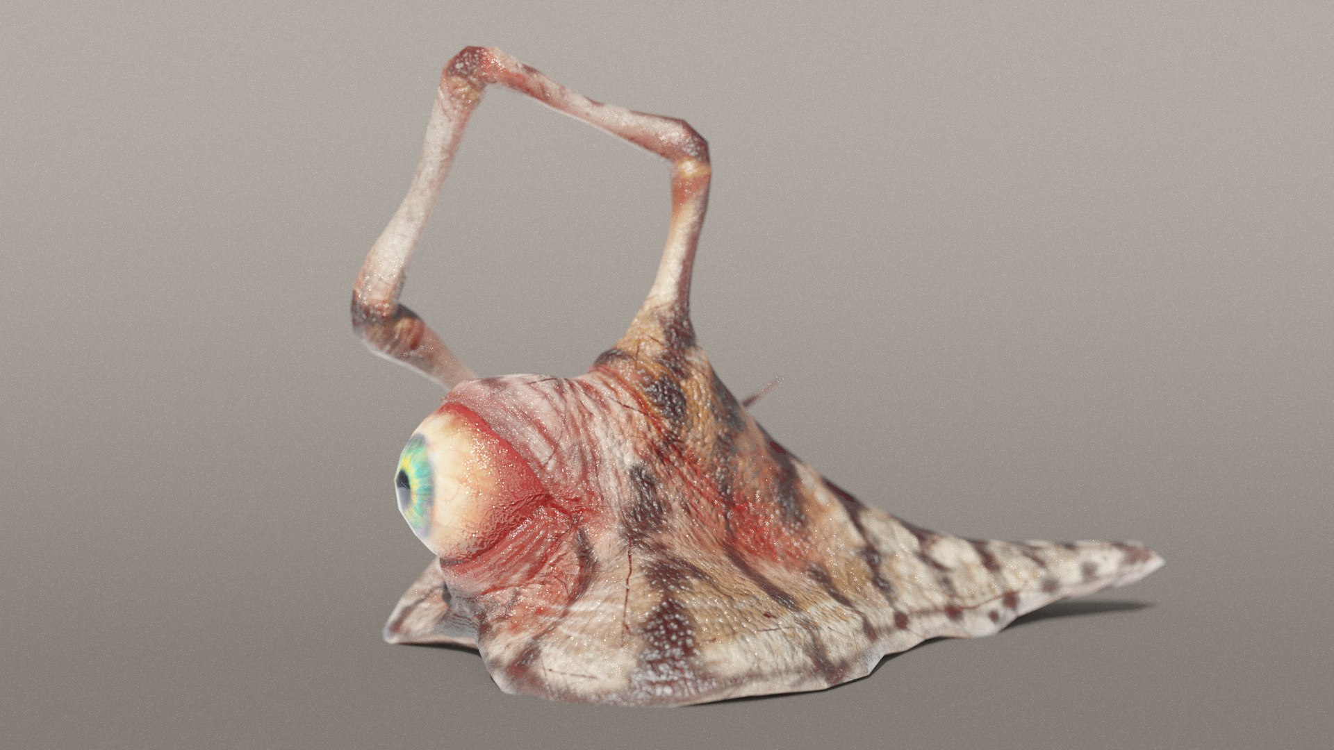 Spine slug eyeball creature 3D model - TurboSquid 1694071