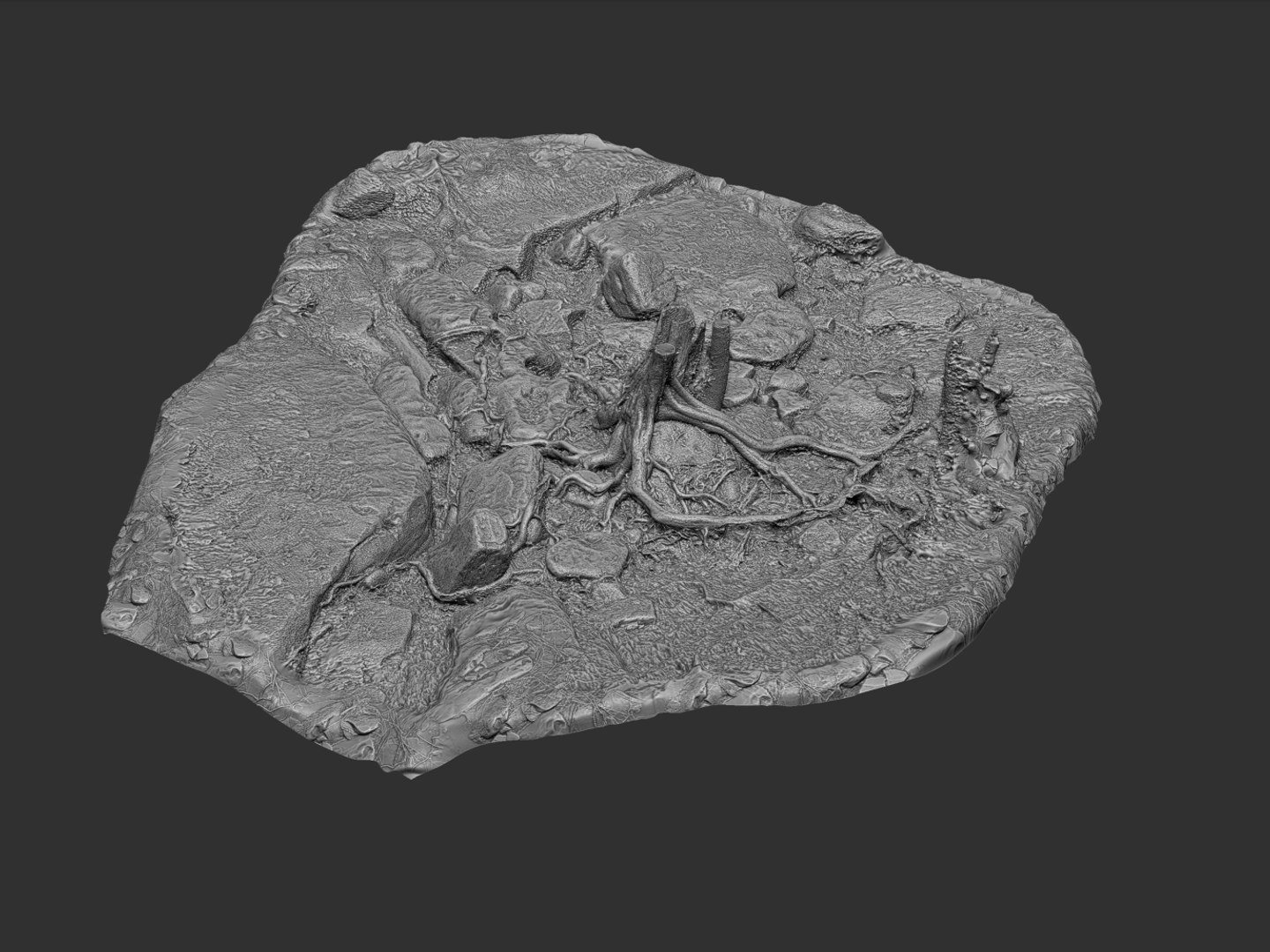 Jungle Rock Ground 16k 3d Max