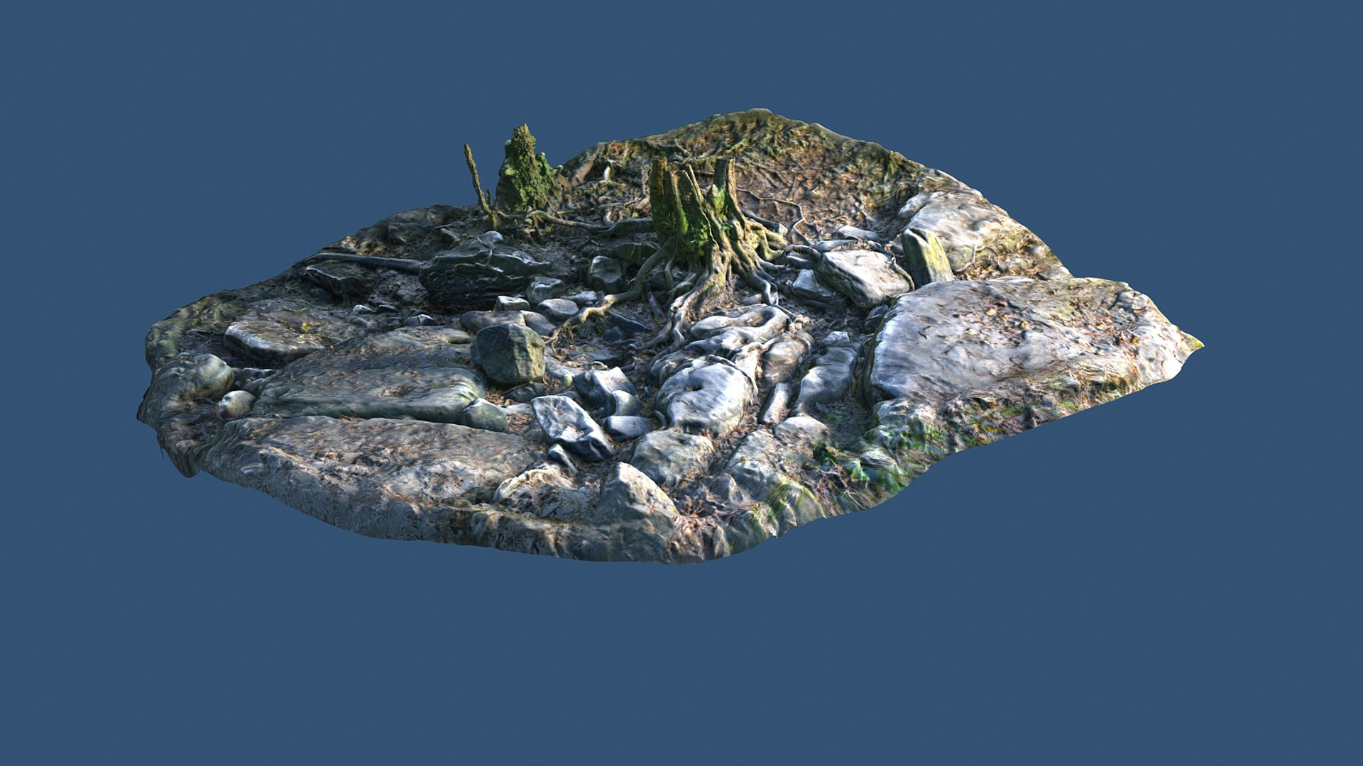 Jungle Rock Ground 16k 3d Max
