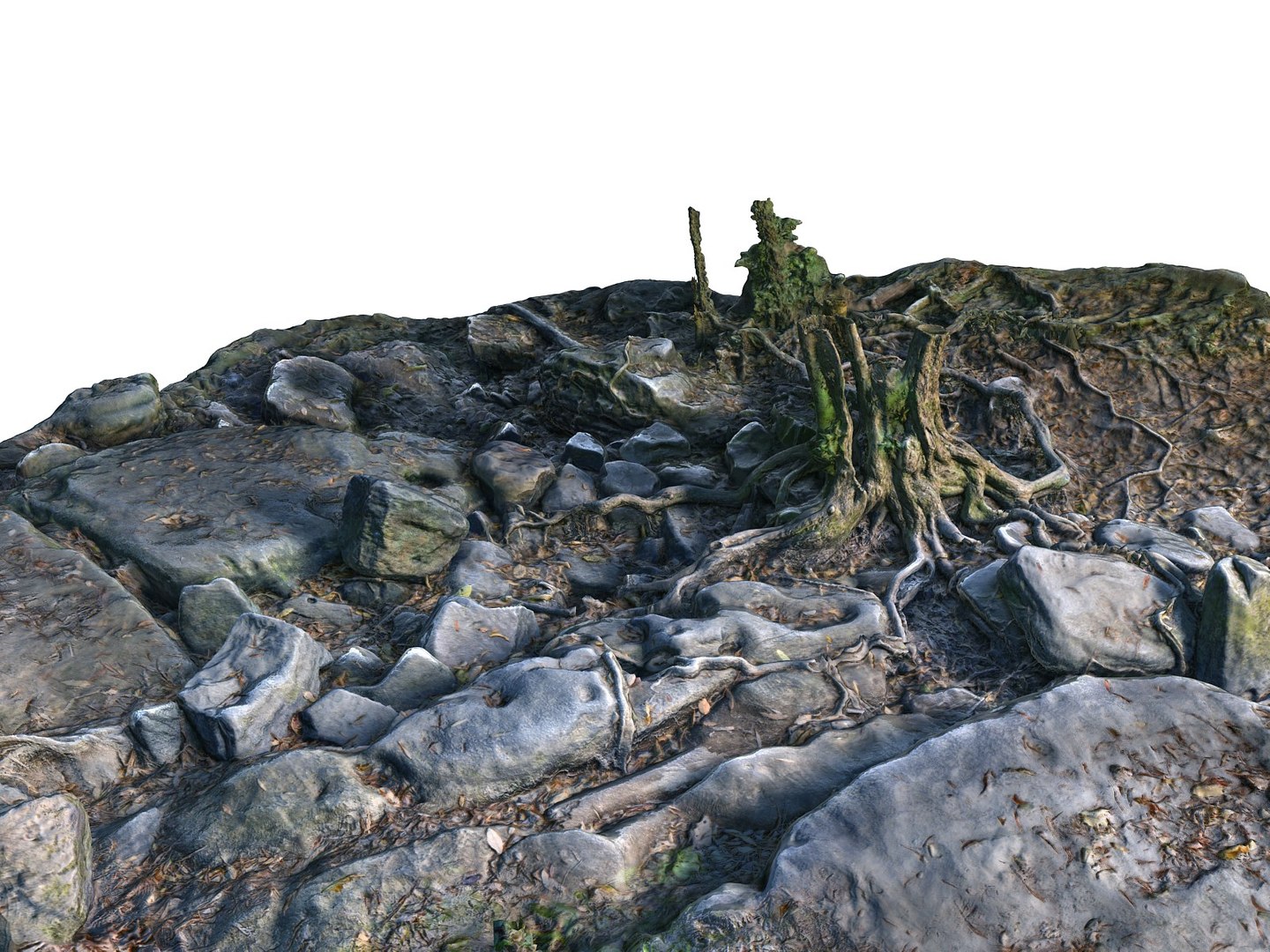 Jungle Rock Ground 16k 3d Max