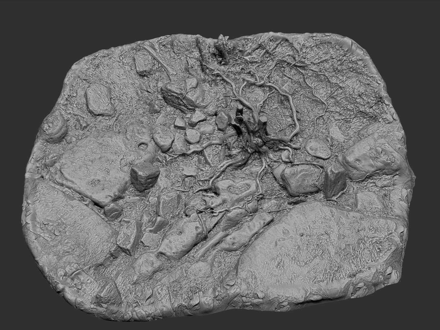 Jungle Rock Ground 16k 3d Max