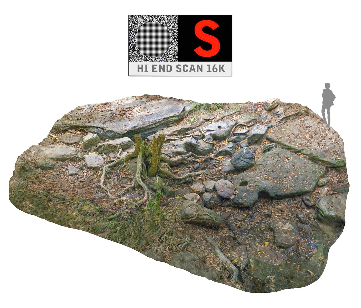 Jungle Rock Ground 16k 3d Max