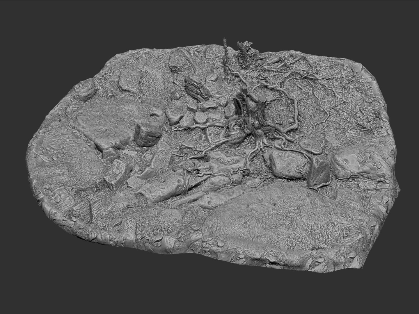 Jungle Rock Ground 16k 3d Max