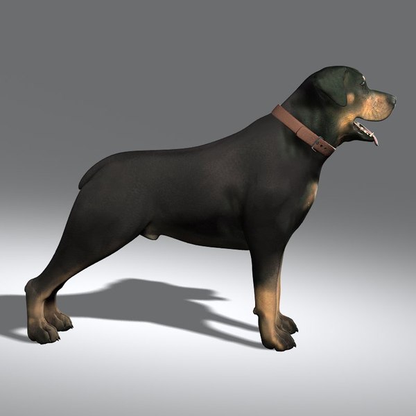 terrier rottweiler boxer 3d model