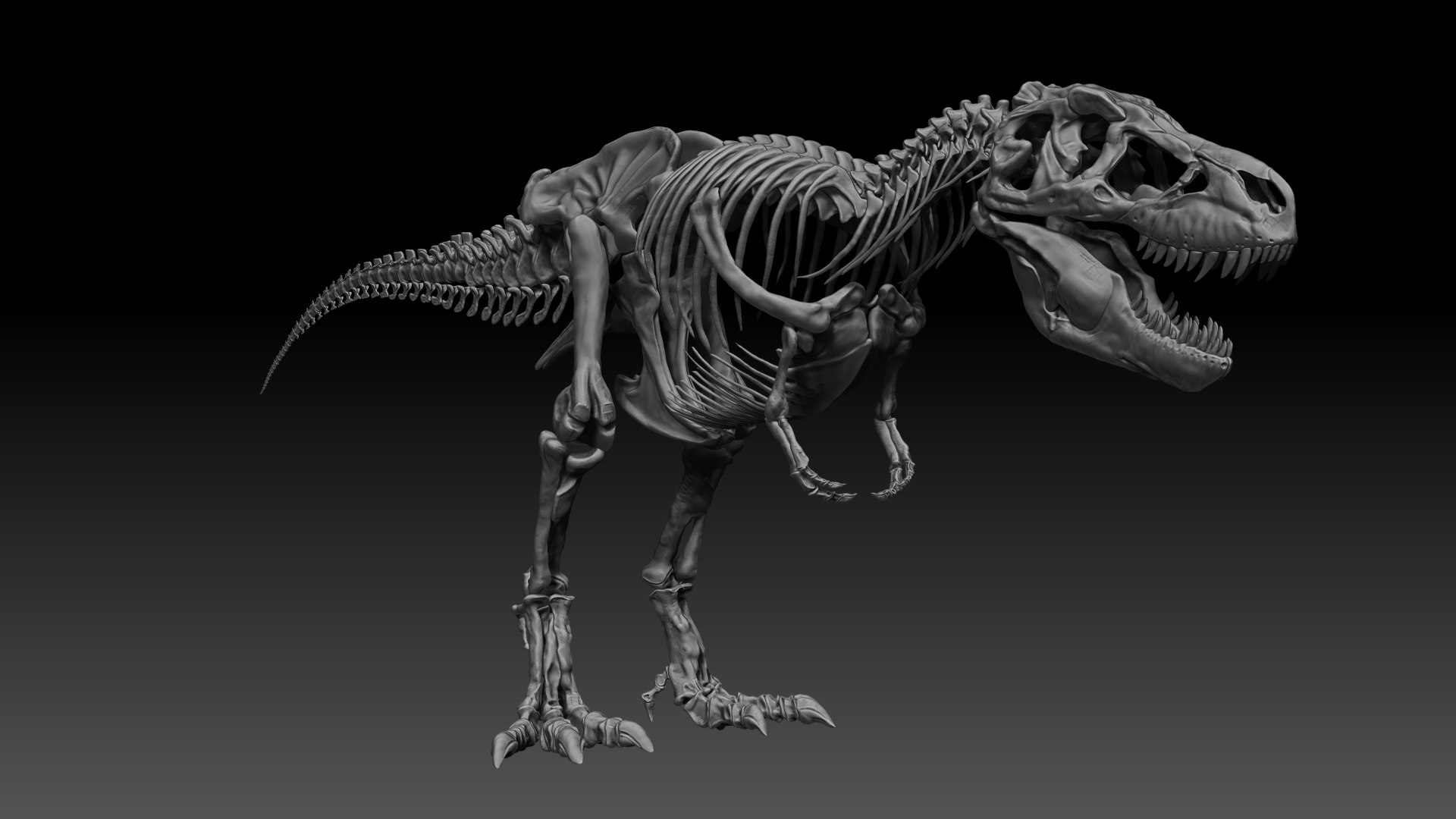 3D Tyrannosaurus Rex Skeletons - - TurboSquid 1695000