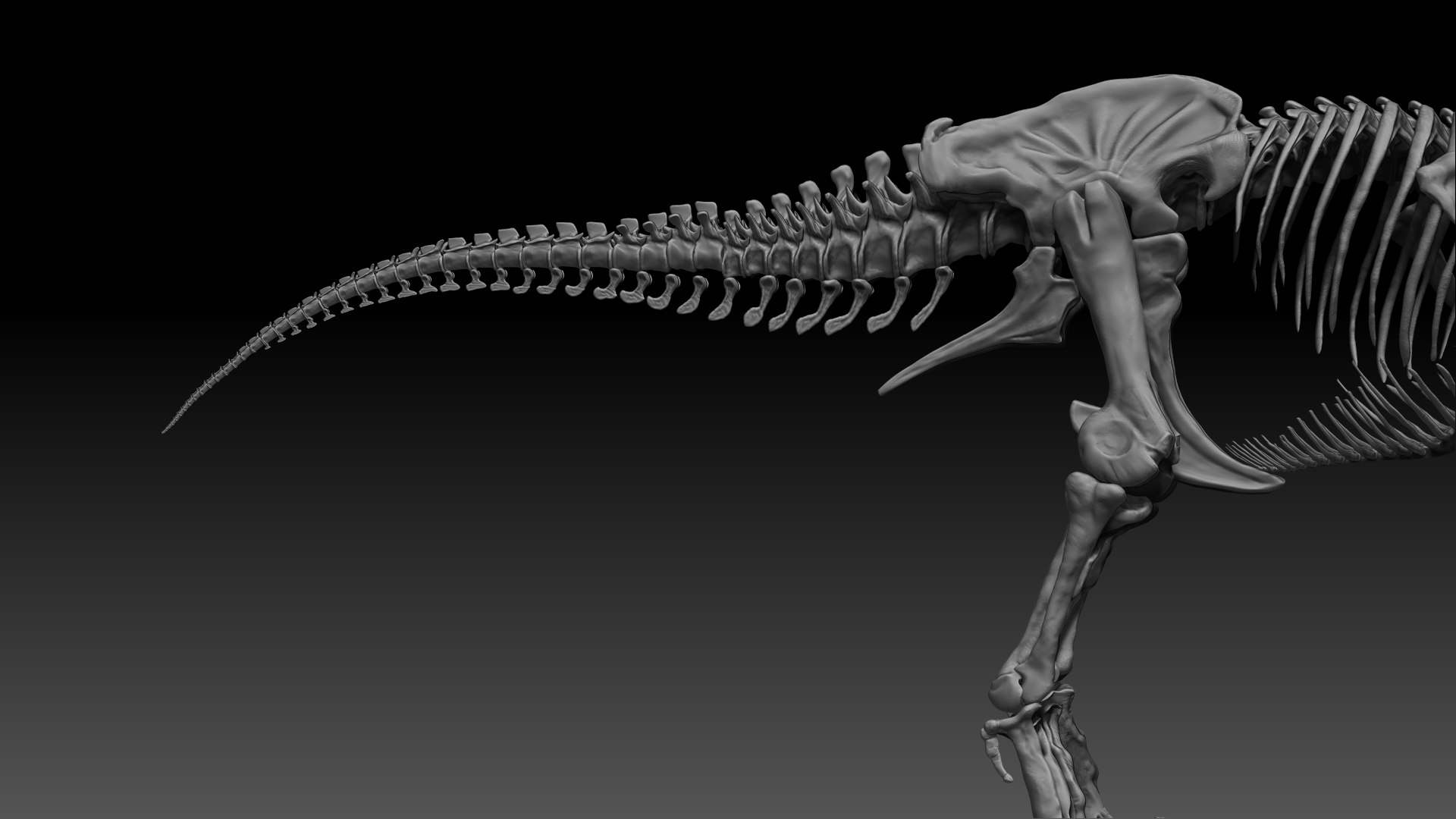 3D Tyrannosaurus Rex Skeletons - - TurboSquid 1695000